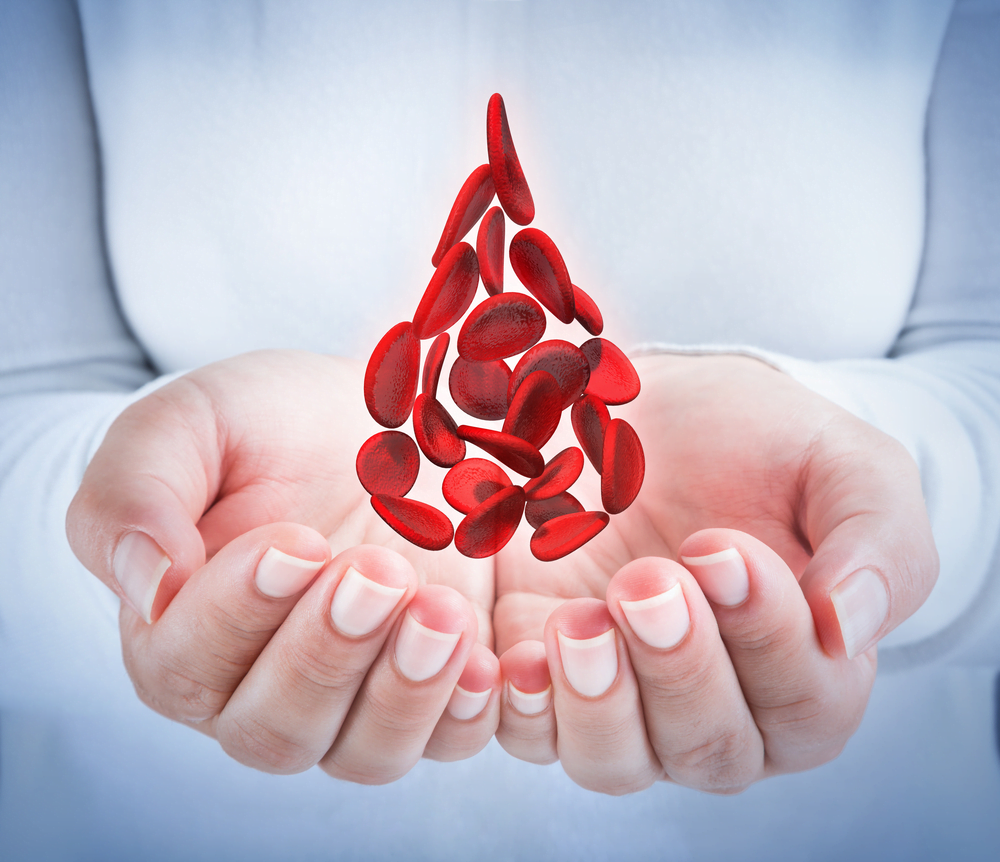 Functions Of Red Blood Cells For Human Survival