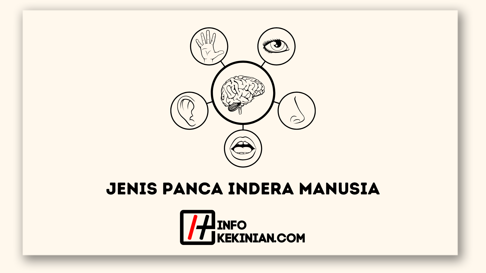 5 Jenis Panca Indera Manusia yang Sangat Mengagumkan 5 Jenis Panca Indera Manusia yang Sangat Mengagumkan