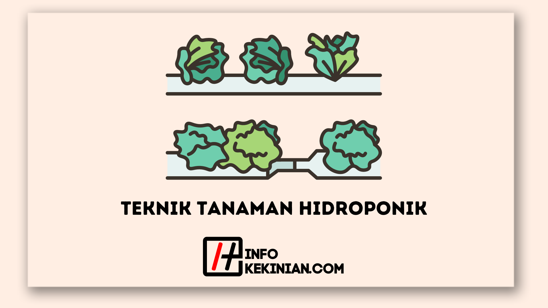7 Teknik Tanaman Hidroponik yang Wajib Diketahui! 7 Teknik Tanaman Hidroponik yang Wajib Diketahui!