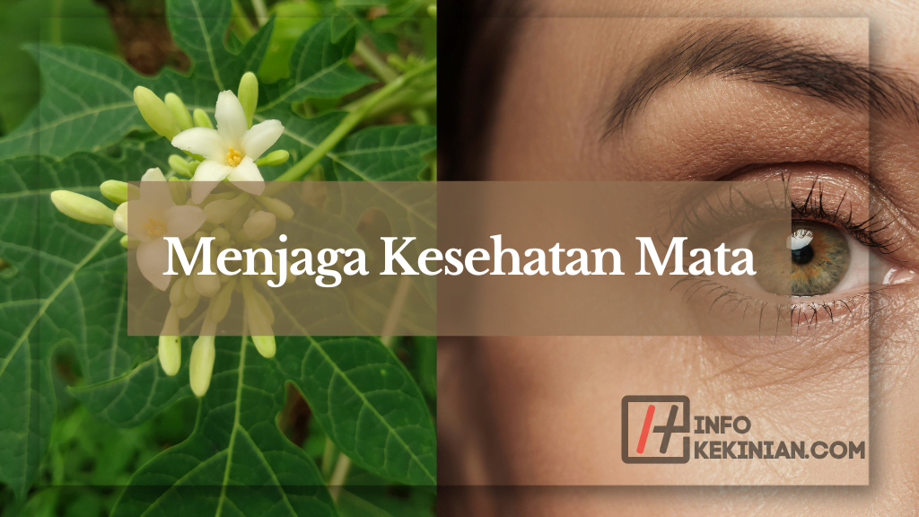 8 Manfaat Daun Pepaya Untuk Kesehatan